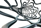 Small Trial for Innovative 'Healing' Stent Contradicts Findings from ...